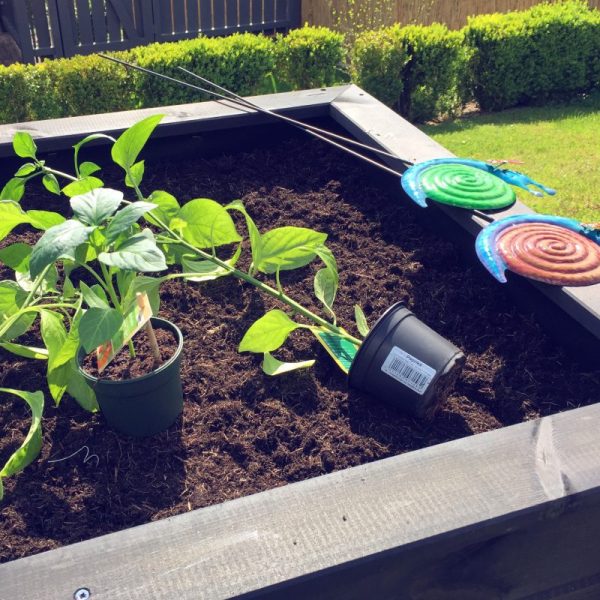 Das Hochbeet am Hang mit Gemüse bepflanzen | sonnen-beet.de